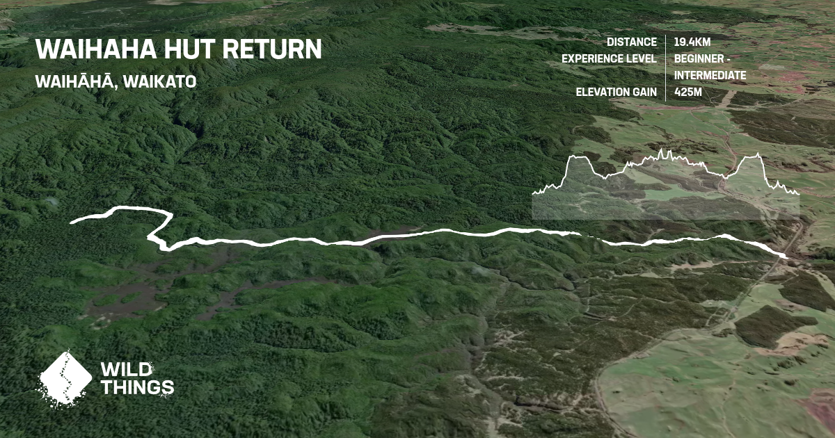 Waihāhā Hut Return, Waikato, New Zealand - Trail Running Directory ...