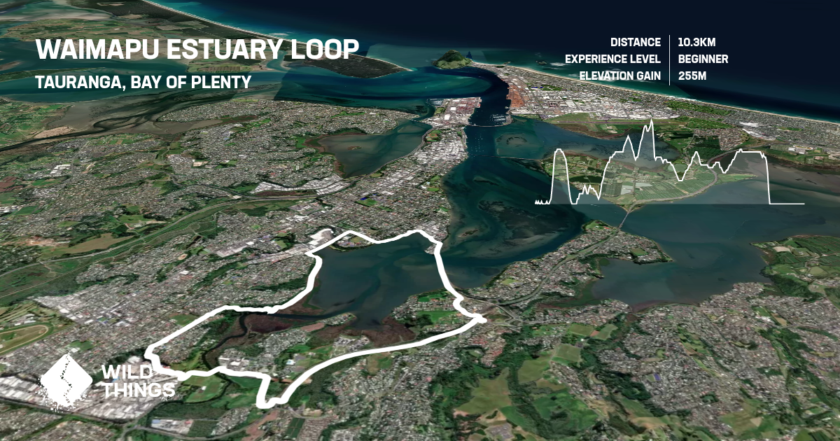 Waimapu Estuary Loop, Bay of Plenty, New Zealand - Trail Running ...