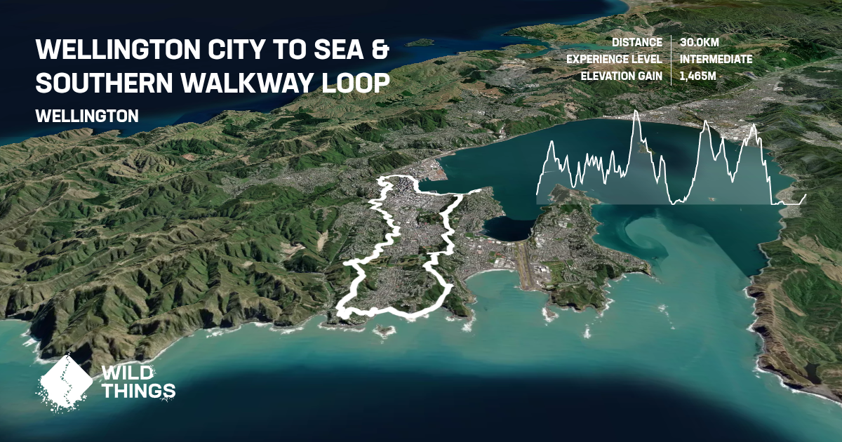 Wellington City to Sea & Southern Walkway Loop, Wellington, New Zealand ...