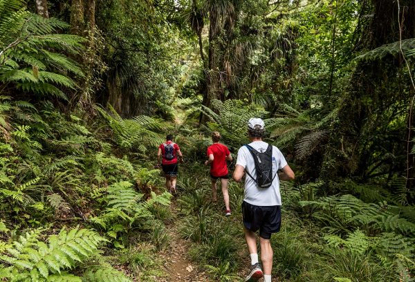 The Waitomo Trail Run is back! - Wild Things
