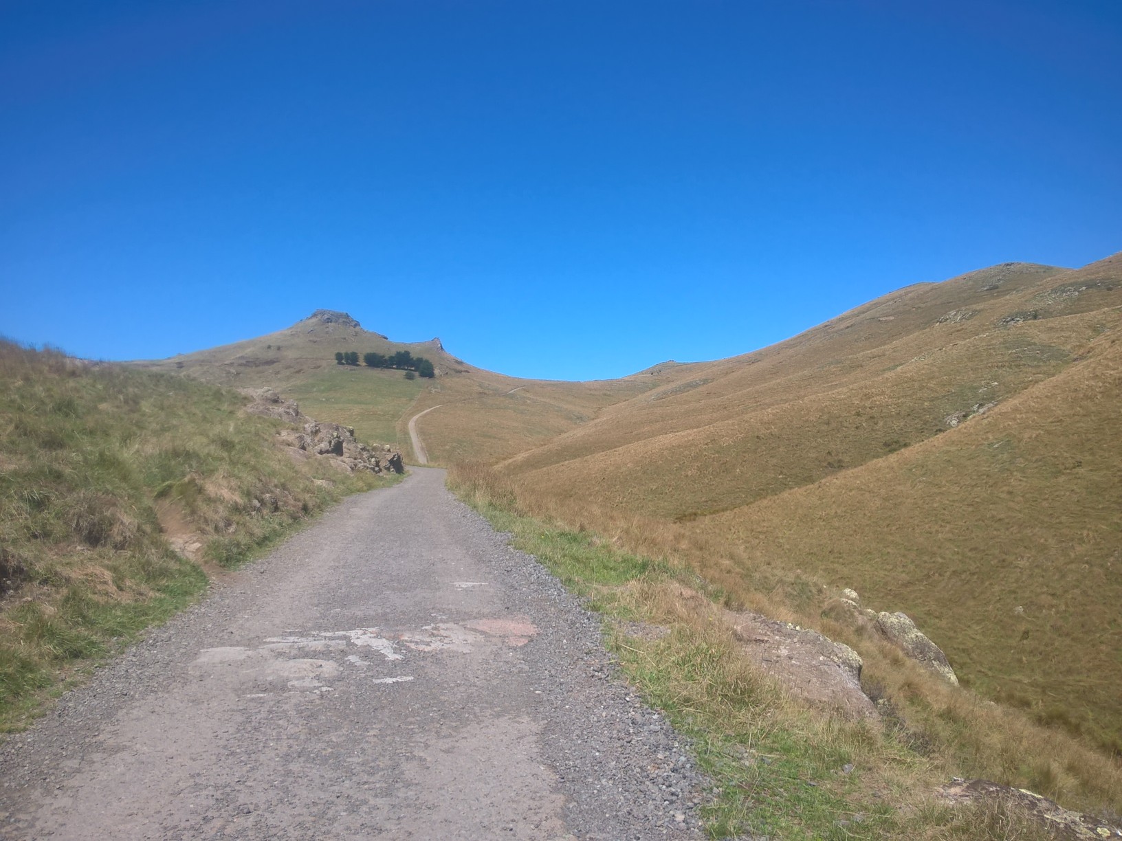 Up Hill Down Valley, Canterbury - Trails Photo Gallery - Wild Things